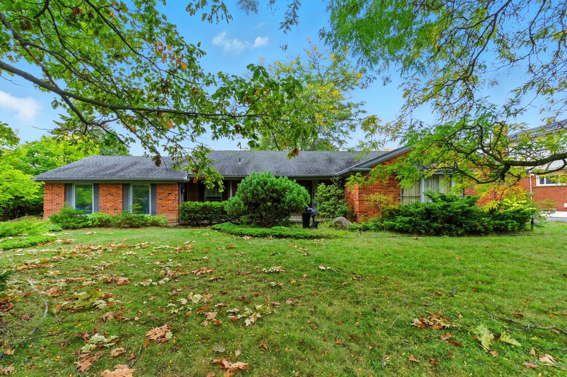 55 Overdale Avenue | Woolcott Real Estate
